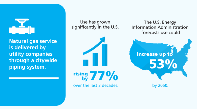 Infographic | Utility Gas Safety System